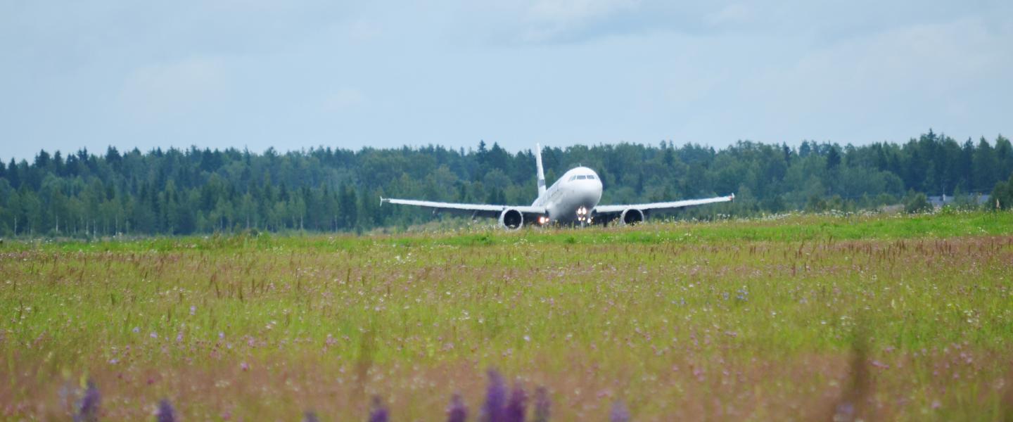 Increased flight coverage in summer – three new airlines start ...