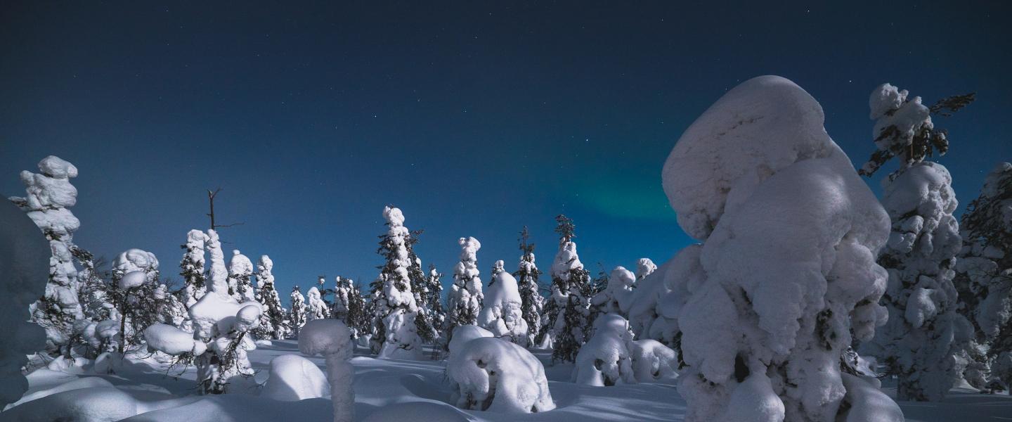What is the polar night? Experience the unique darkness of Finnish ...