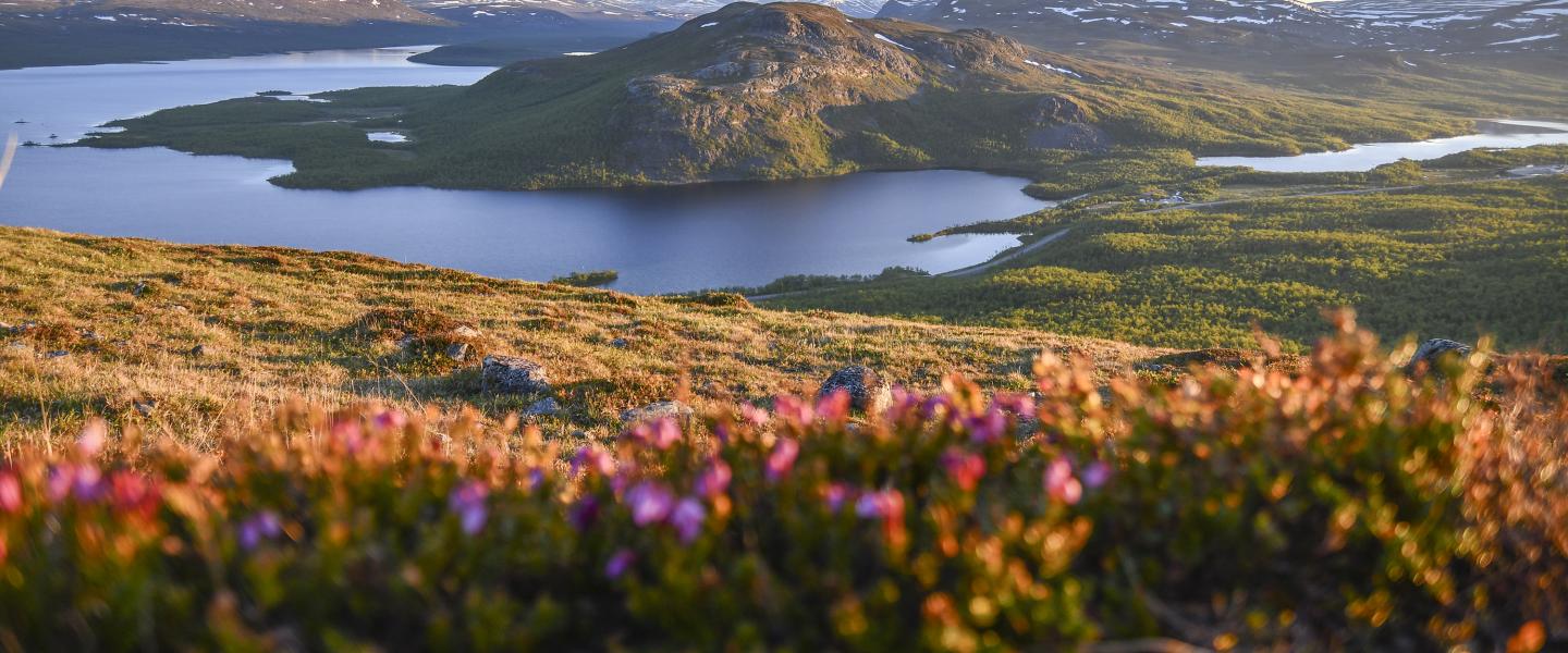Finnair adds flights to Lapland: Experience a unique summer destination ...
